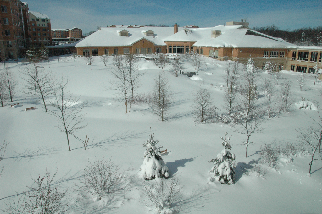Blizzard, Silver Spring, MD