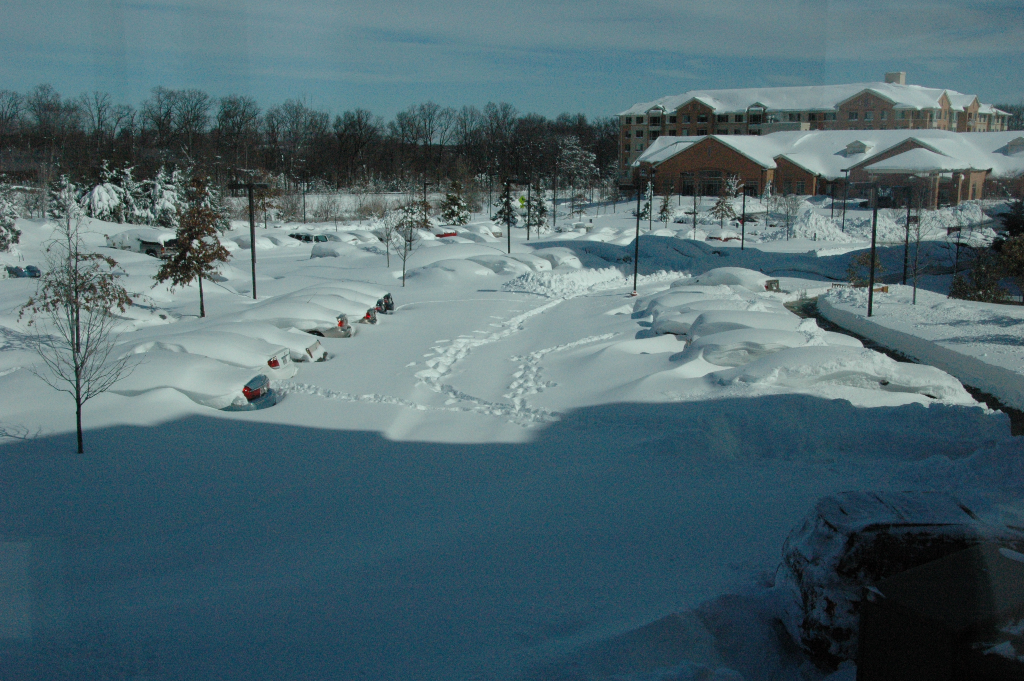 Blizzard, Silver Spring, MD