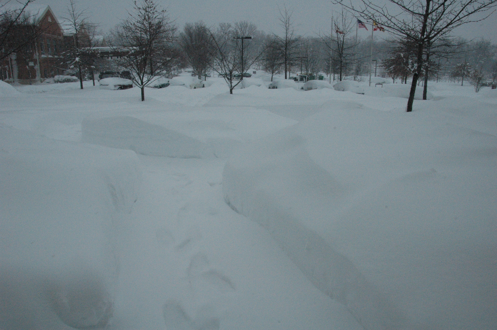 Blizzard, Silver Spring, MD